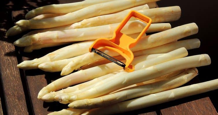 Das Gartenportal - Das Gartenportal