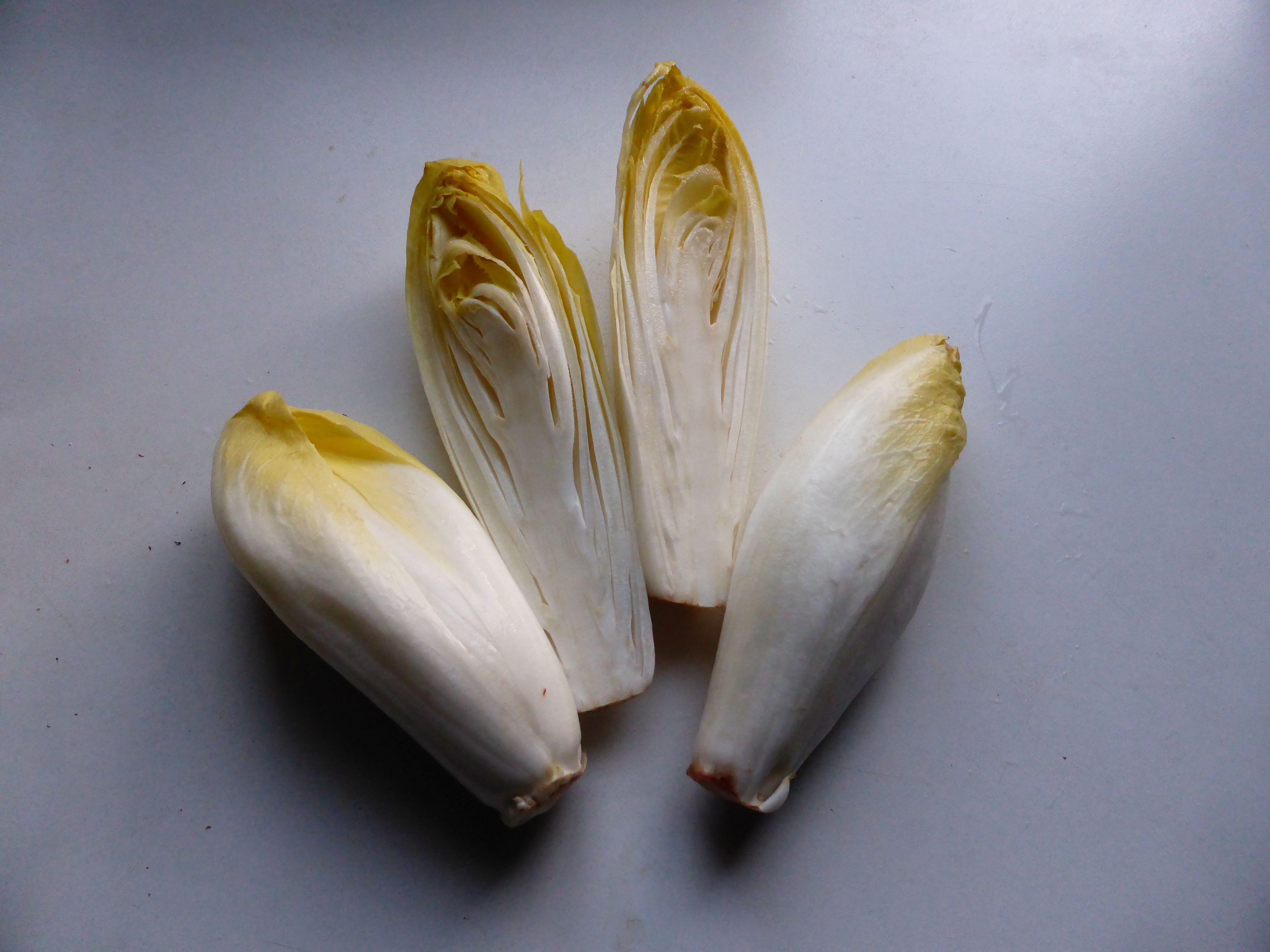 Chicorée – ein unterschätztes Gemüse - nachgeharkt