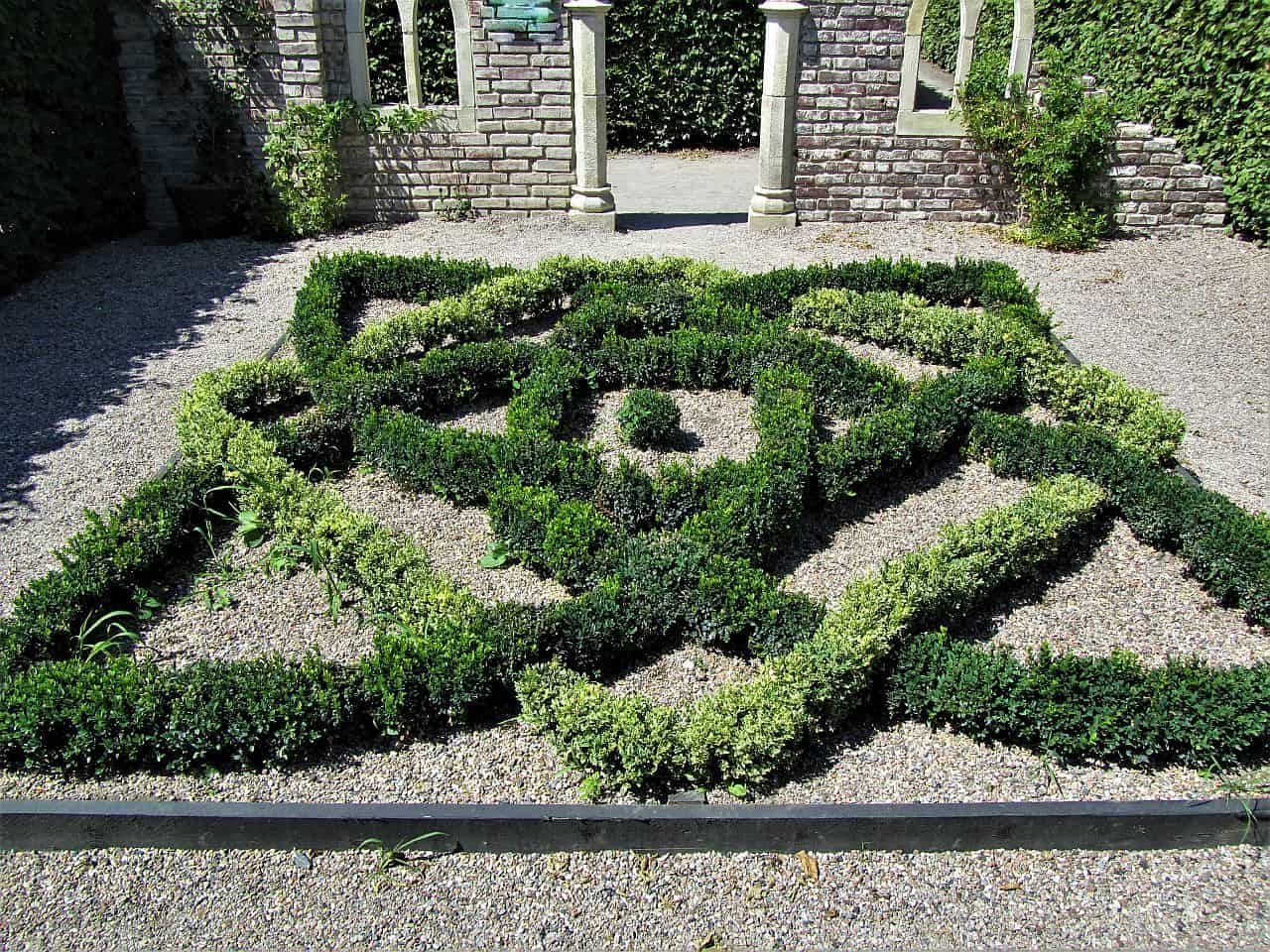 Buchsbaum – ideal für jeden Gartentyp - nachgeharkt